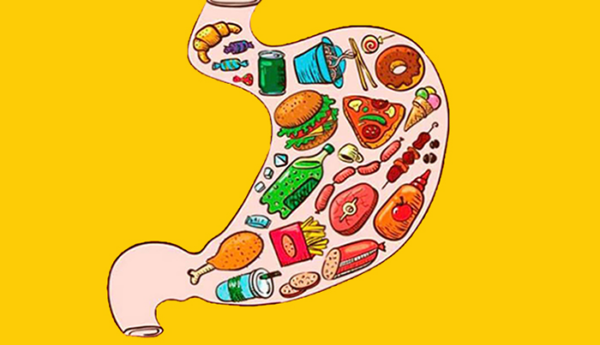 Digestia alimentelor - Adriana Petrescu